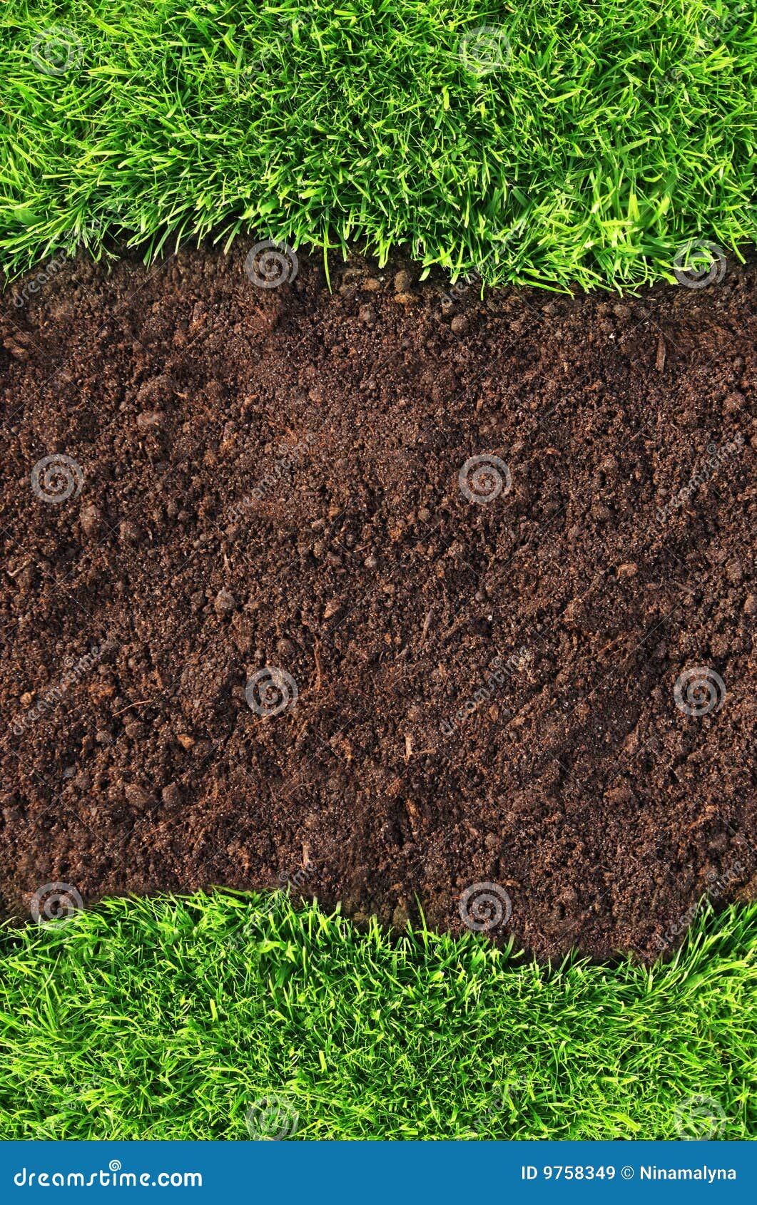 Garden frame stock image. Image of green, soil, spring - 9758349