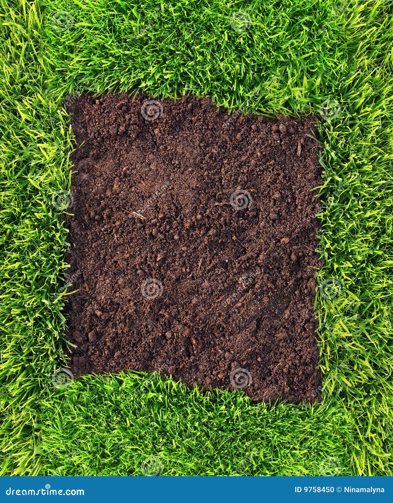 Garden frame stock photo. Image of edge, gardening, space - 9758450