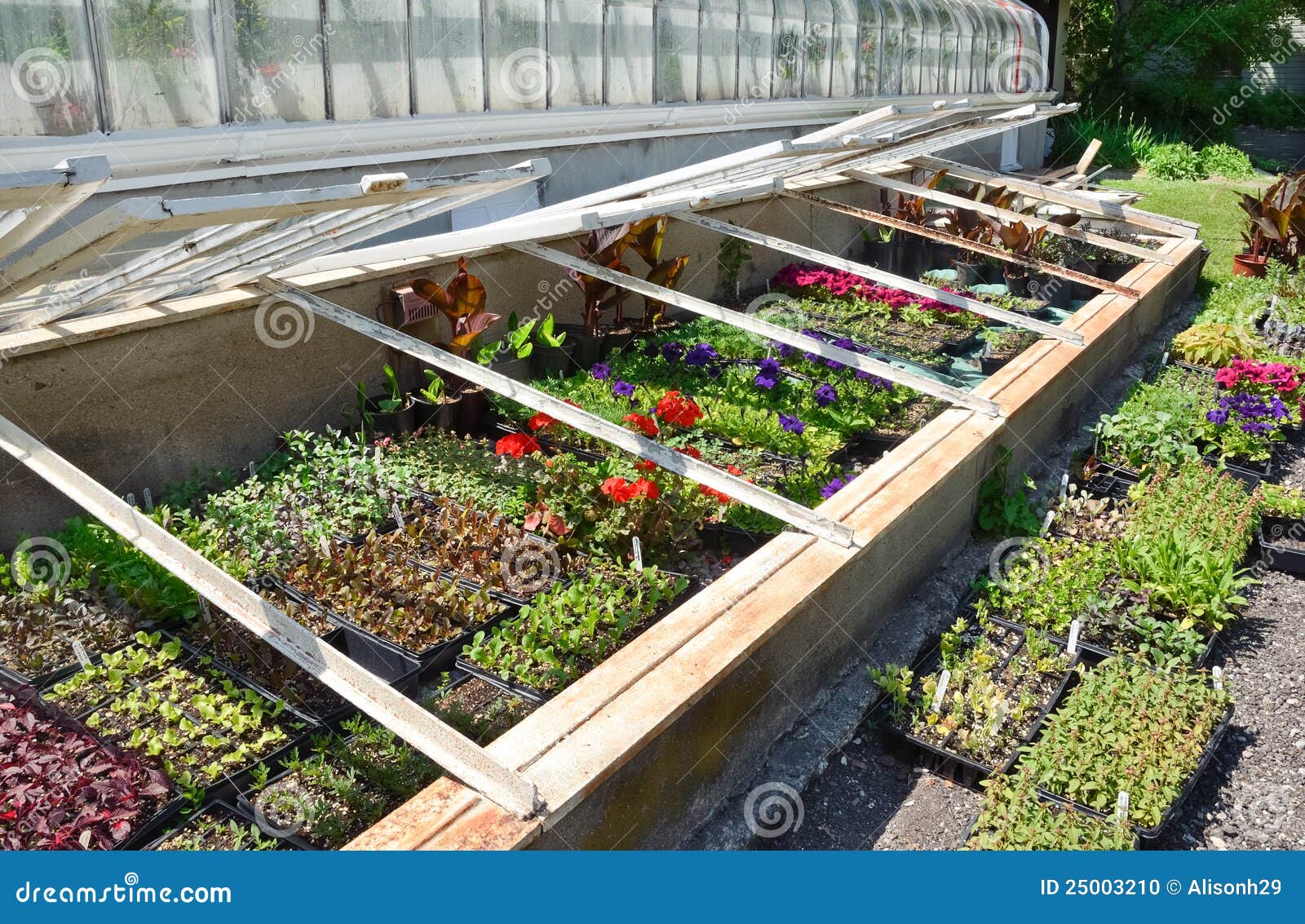 Garden Frames stock photo. Image of green, cultivation - 25003210