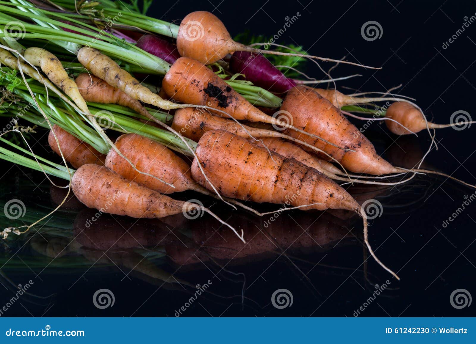 Garden fresh carrots stock photo. Image of organic, nutrition - 61242230