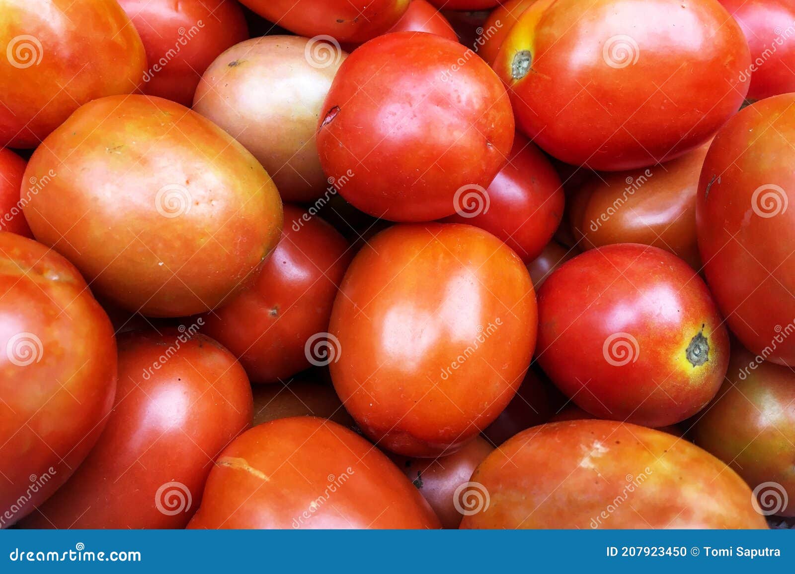 Garden Fresh Tomato High Res Stock Photo - Image of tomato, fresh ...