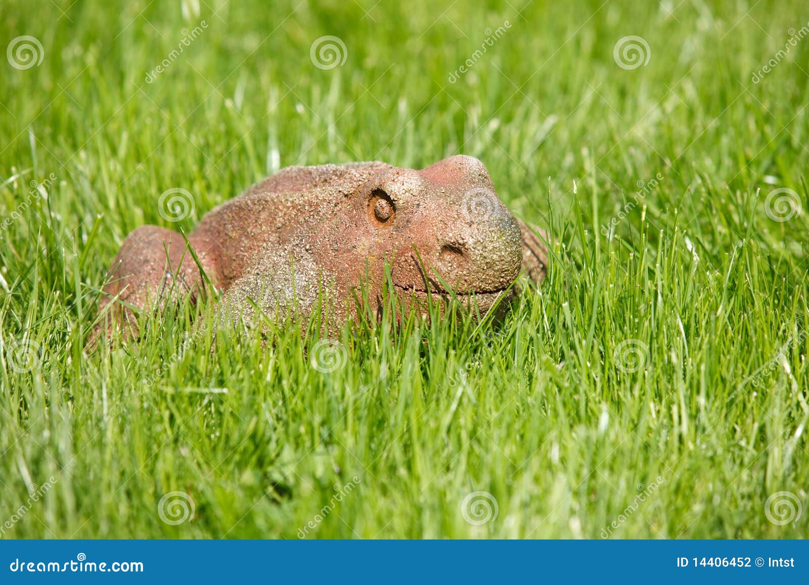 Garden frog stock photo. Image of style, nature, stone - 14406452