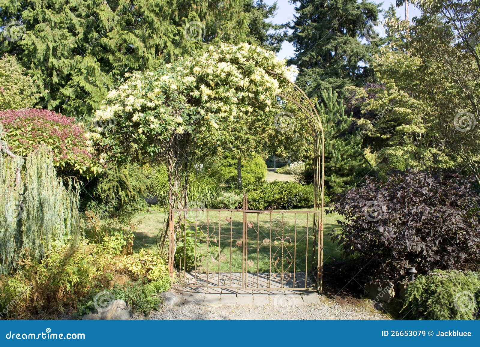 Garden Gate with Beautiful Flowers Stock Image - Image of elegant ...