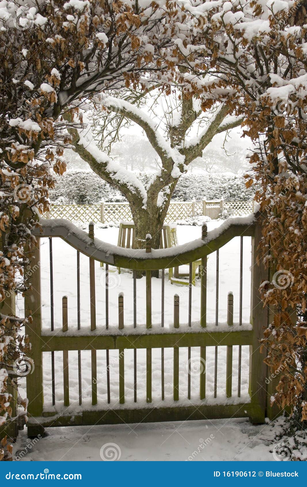 Garden Gate Covered in Snow Stock Photo - Image of winter, cold: 16190612