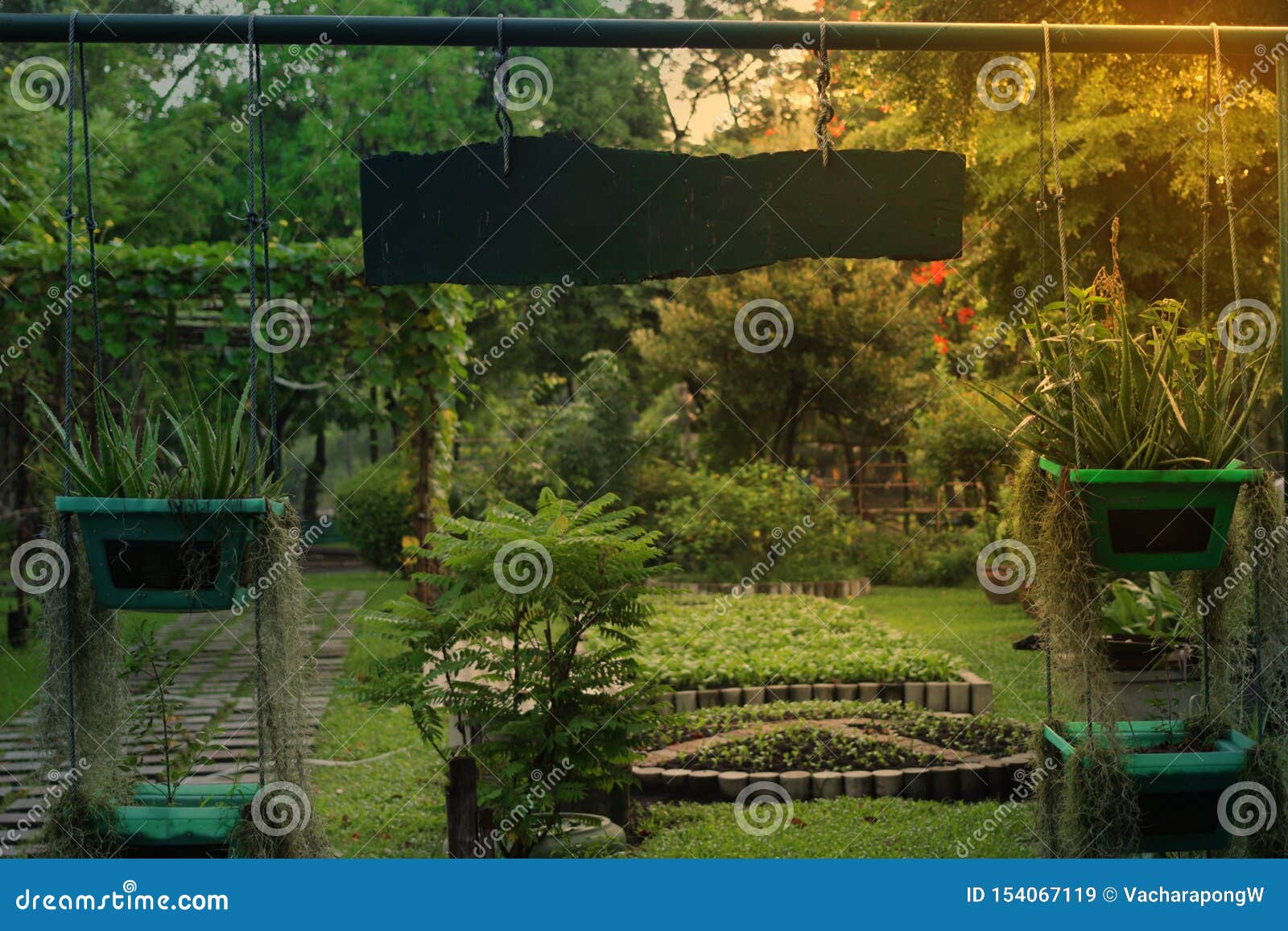 Garden gate with sun flare stock image. Image of nature - 154067119