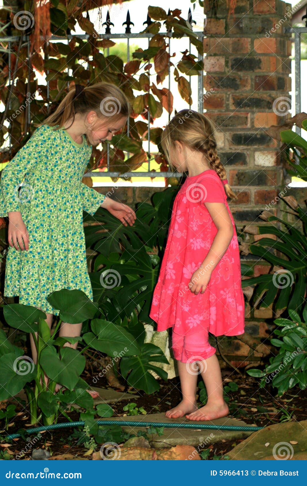 Garden Girls Picture. Image: 5966413