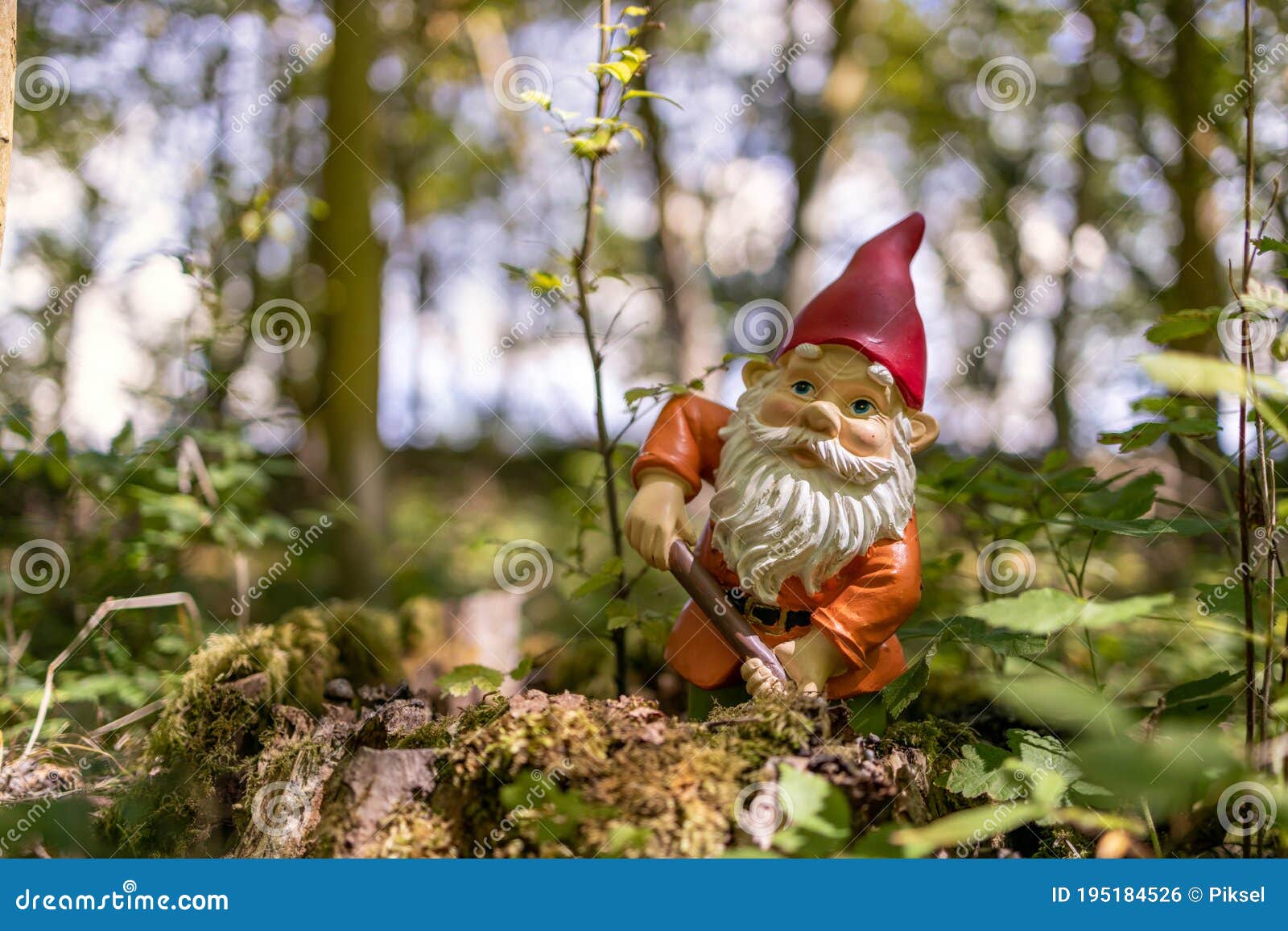 Garden gnome in the forest stock photo. Image of beautiful - 195184526
