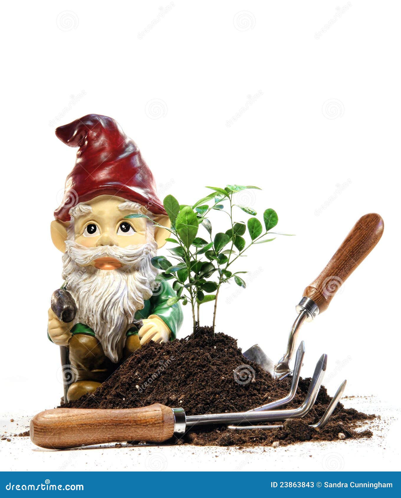 Garden Gnome and Tools for Spring Planting Stock Image - Image of decor ...