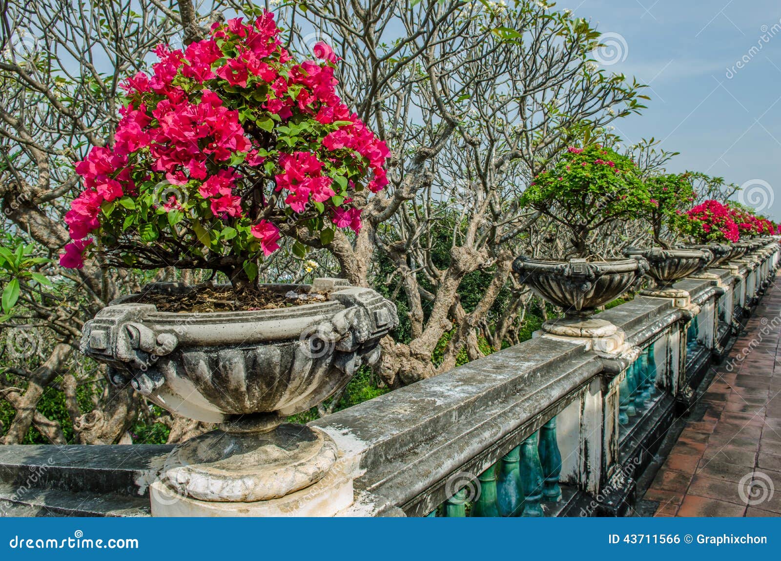 Garden stock photo. Image of garden, graden, stone, tree - 43711566