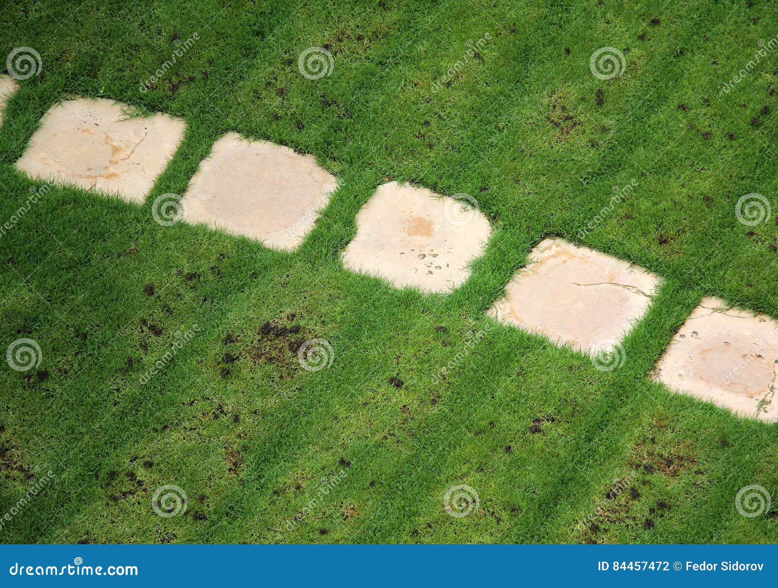Garden grass path 1 stock photo. Image of greenery, grassland - 84457472