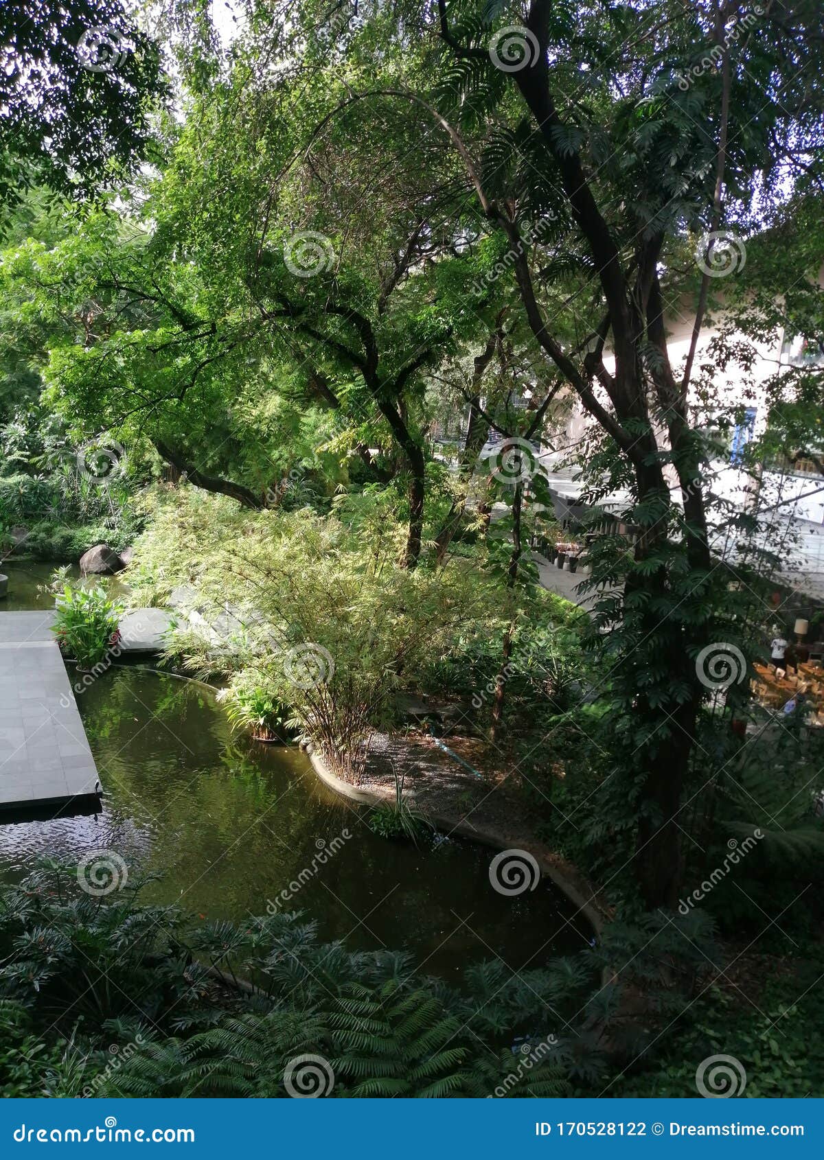 Garden Garden Green Green Manila Nice View Stock Photo - Image of ...