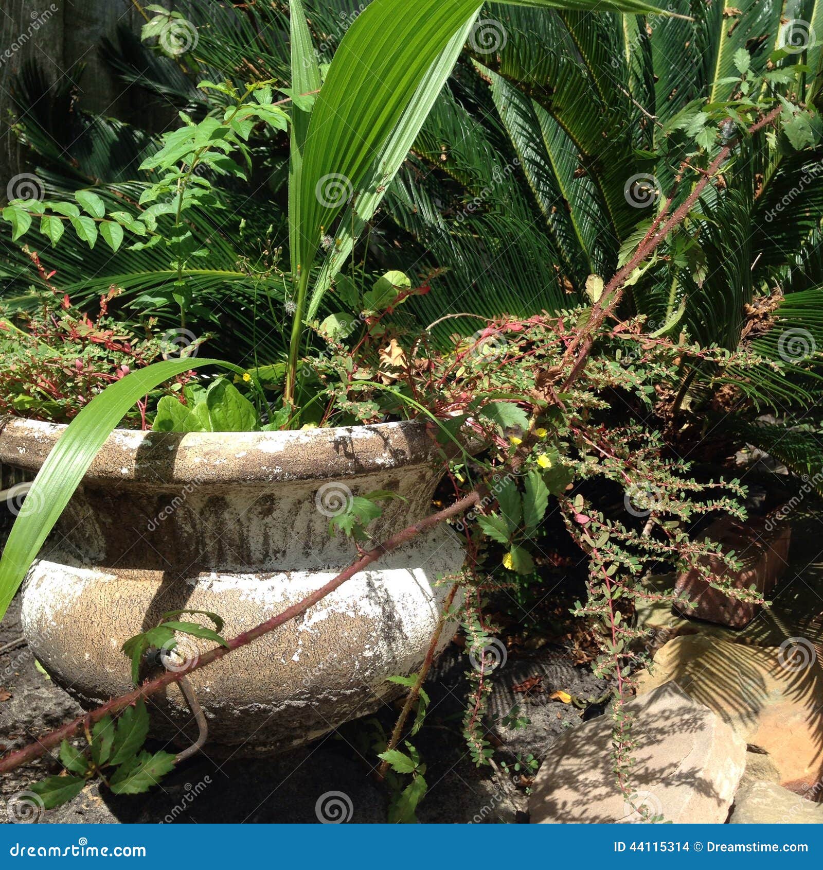 Garden stock photo. Image of pots, greenery, nature, garden - 44115314