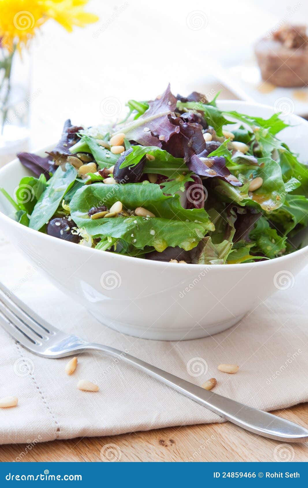 Garden greens salad stock photo. Image of lettuce, vegan - 24859466