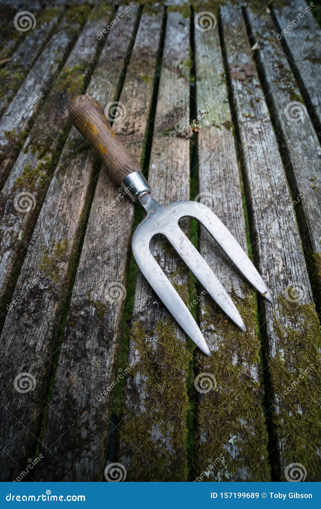 Garden Hand Fork Rustic Table Stock Image - Image of grubby, board ...