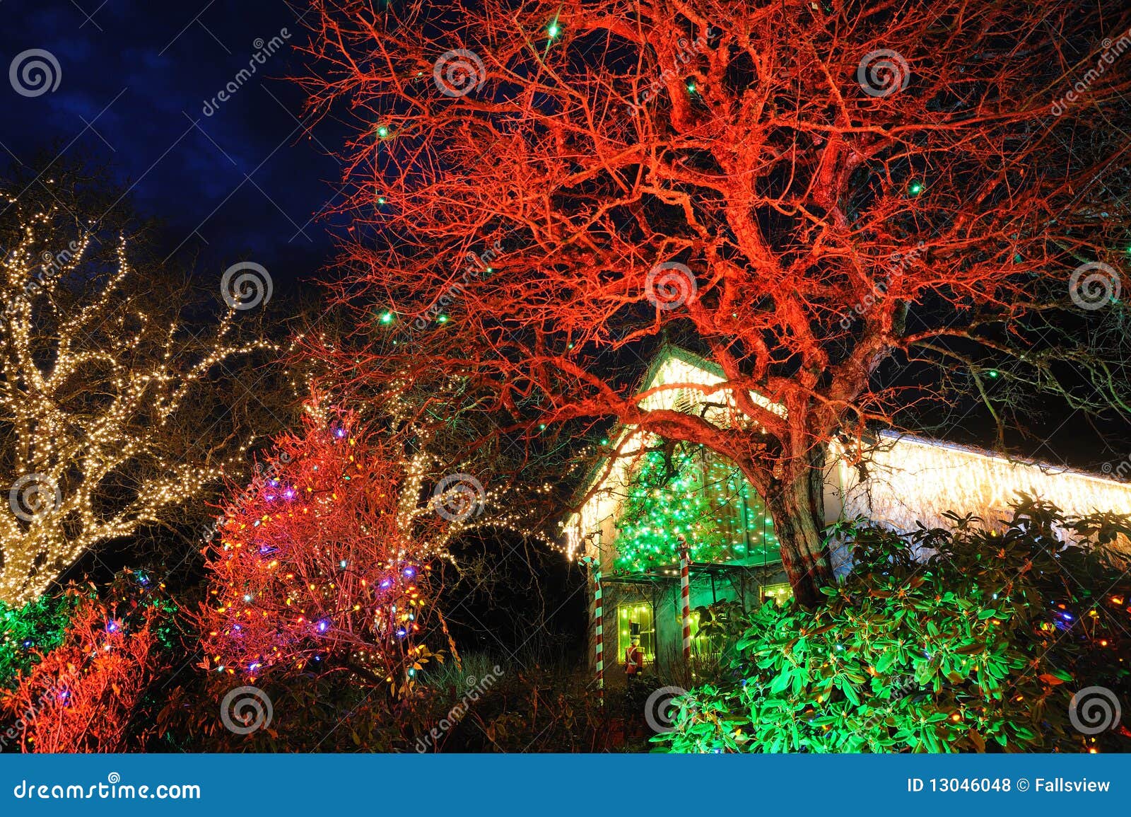 Garden house night scene stock photo. Image of plants - 13046048