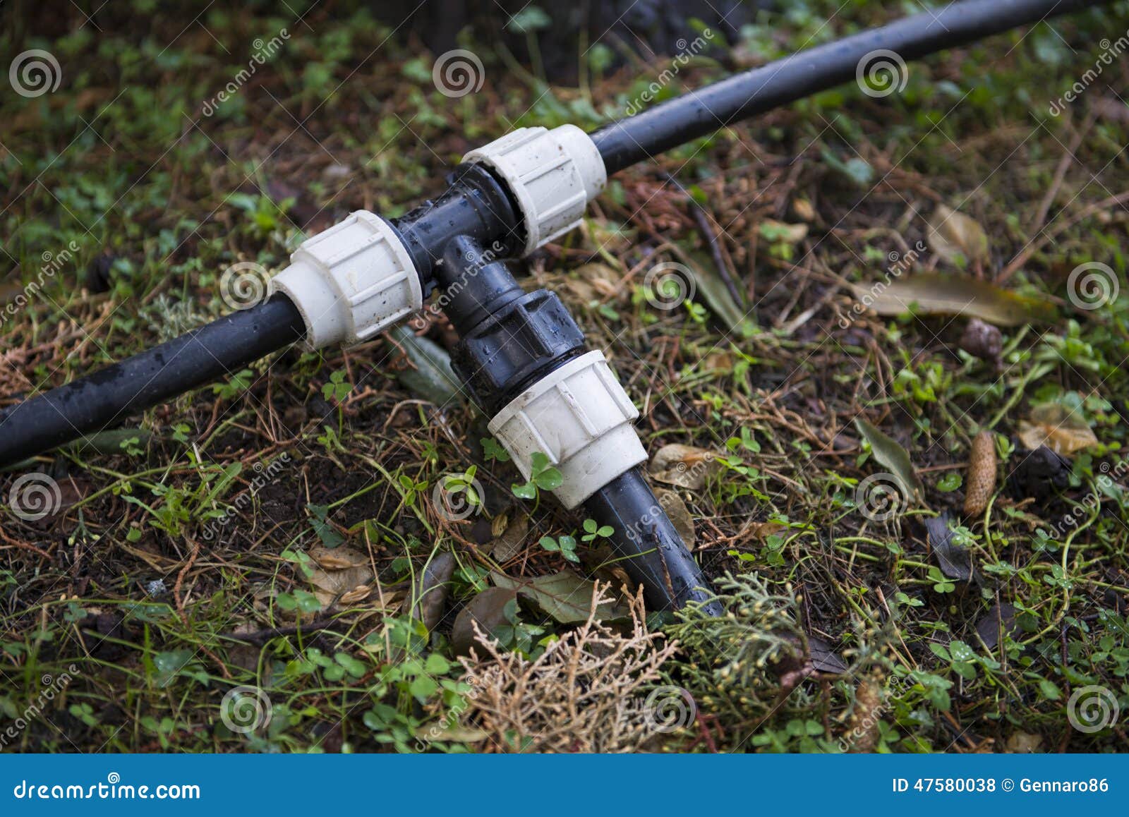 Garden Hydraulic Connection Stock Photo - Image of grass, industry ...