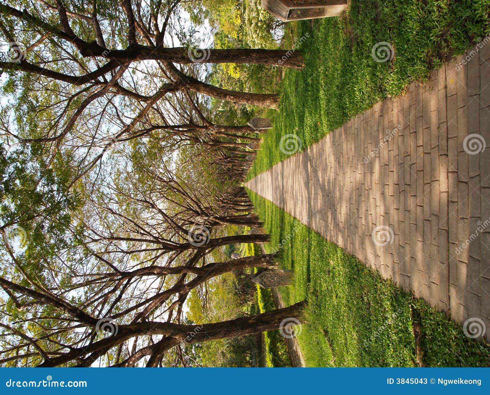 Garden Infinity Walkway Path Stock Image - Image of grass, concrete ...