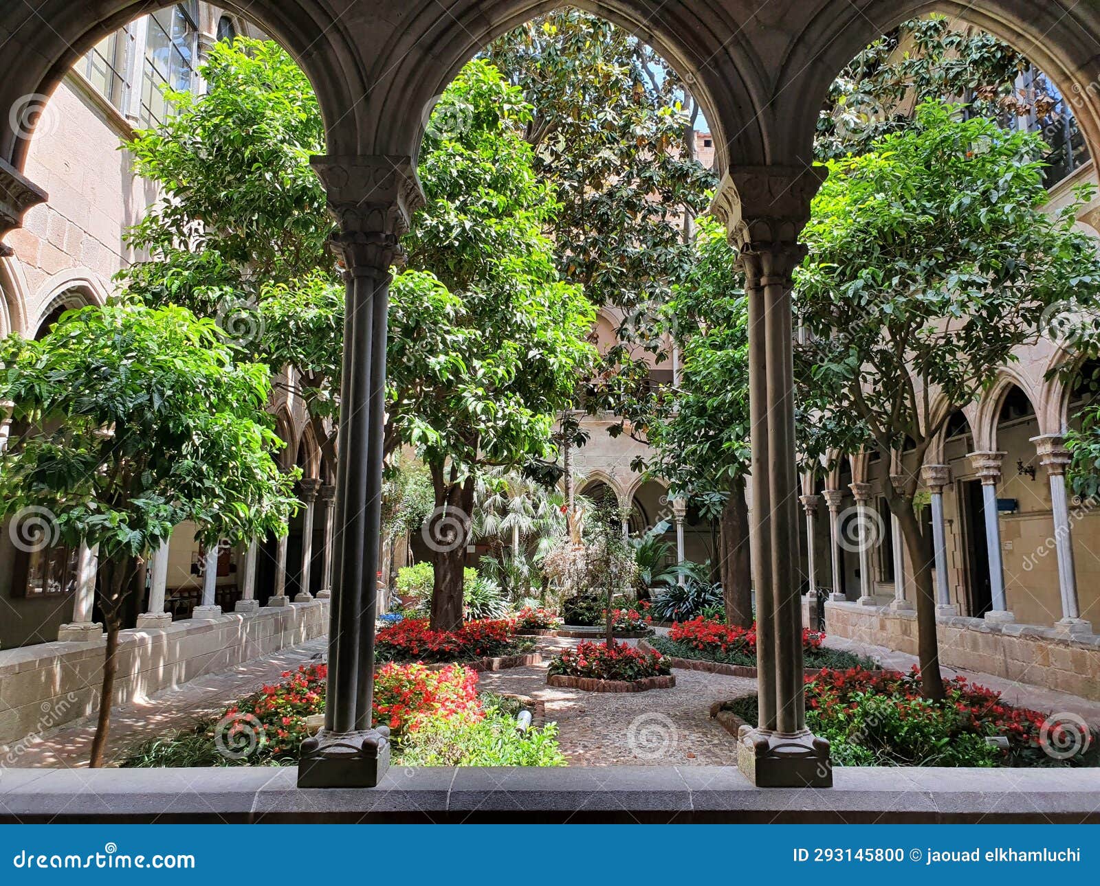 A Garden Inside a Church in Barcelona, Spain Stock Photo - Image of ...