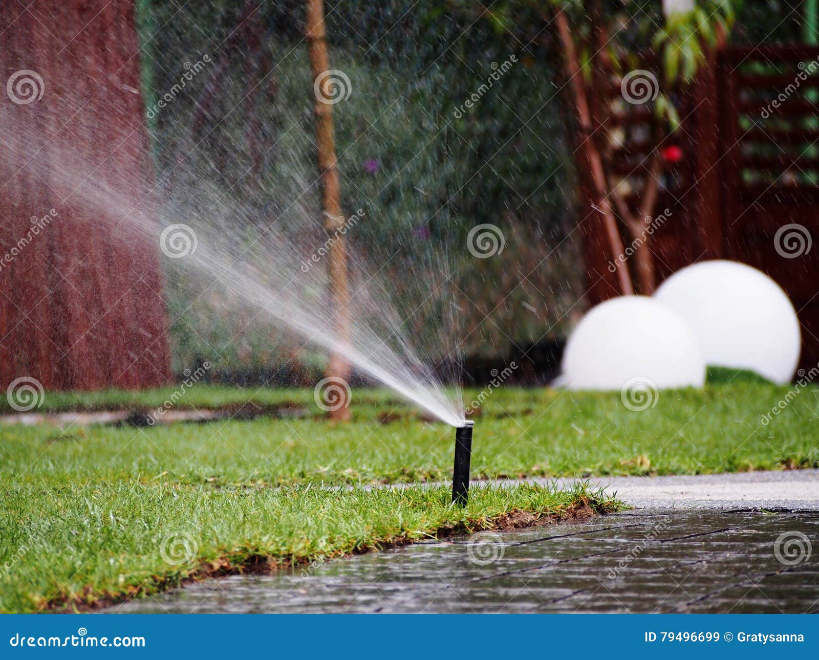 Garden Irrigation - Sprinkler Closeup Stock Image - Image of grass ...