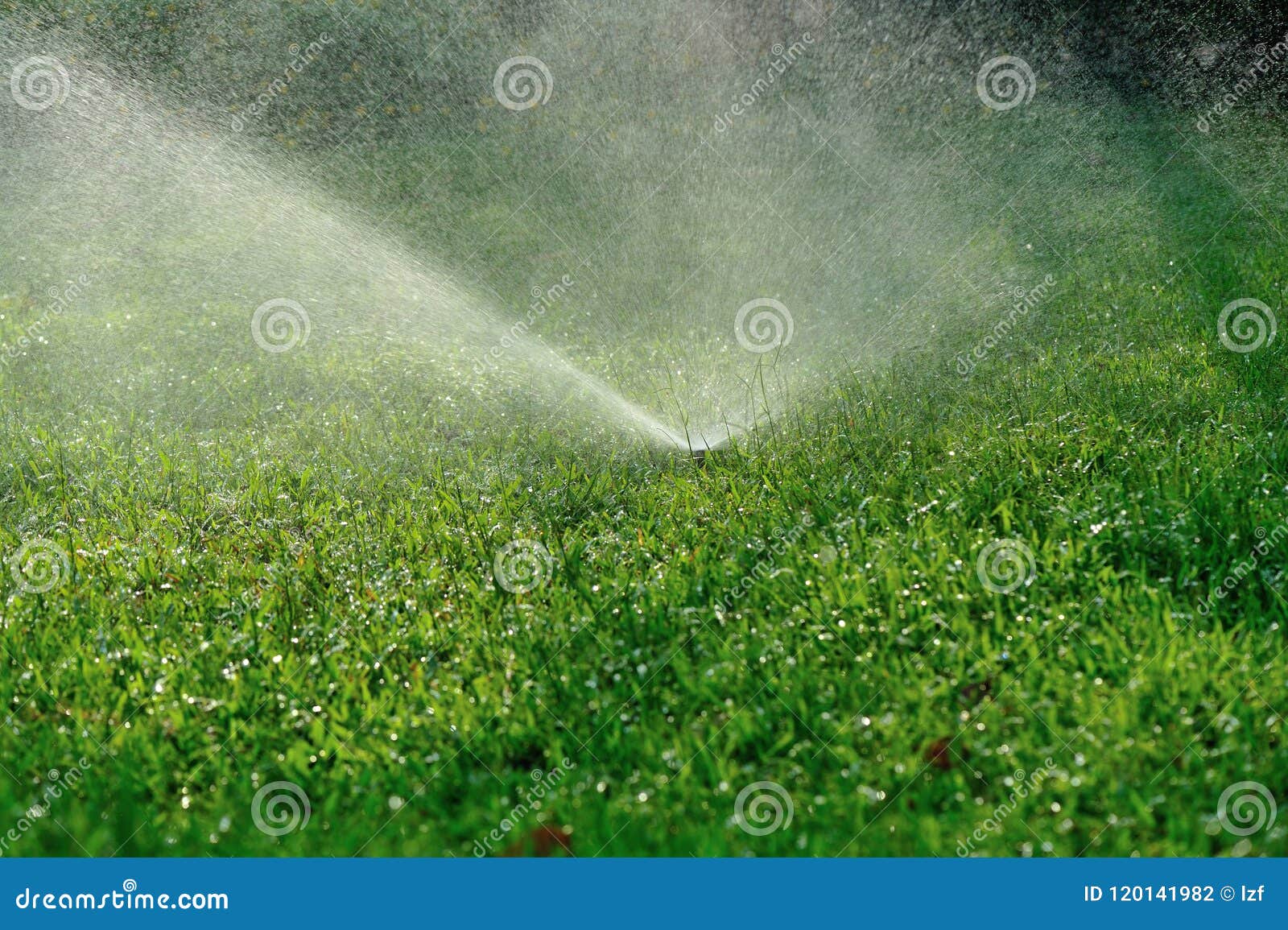 Garden Irrigation System Spray Watering Stock Photo - Image of ...