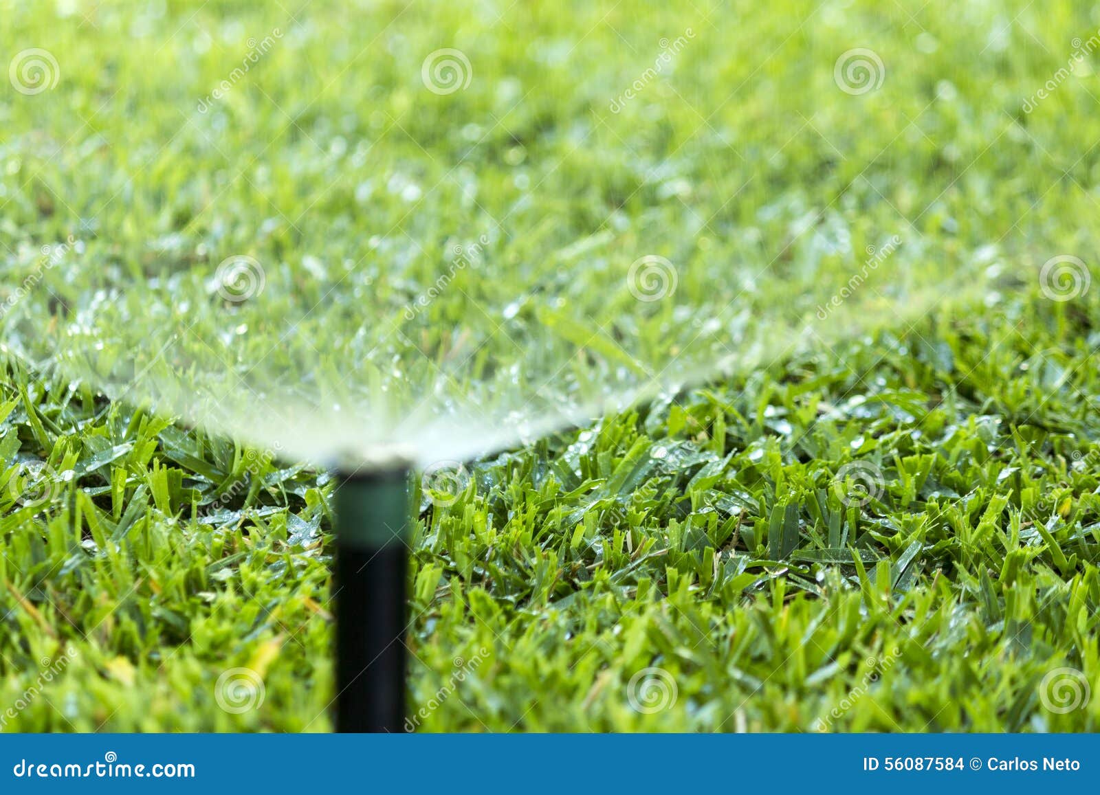 Garden Irrigation System Spray Watering Lawn. Stock Photo - Image of ...