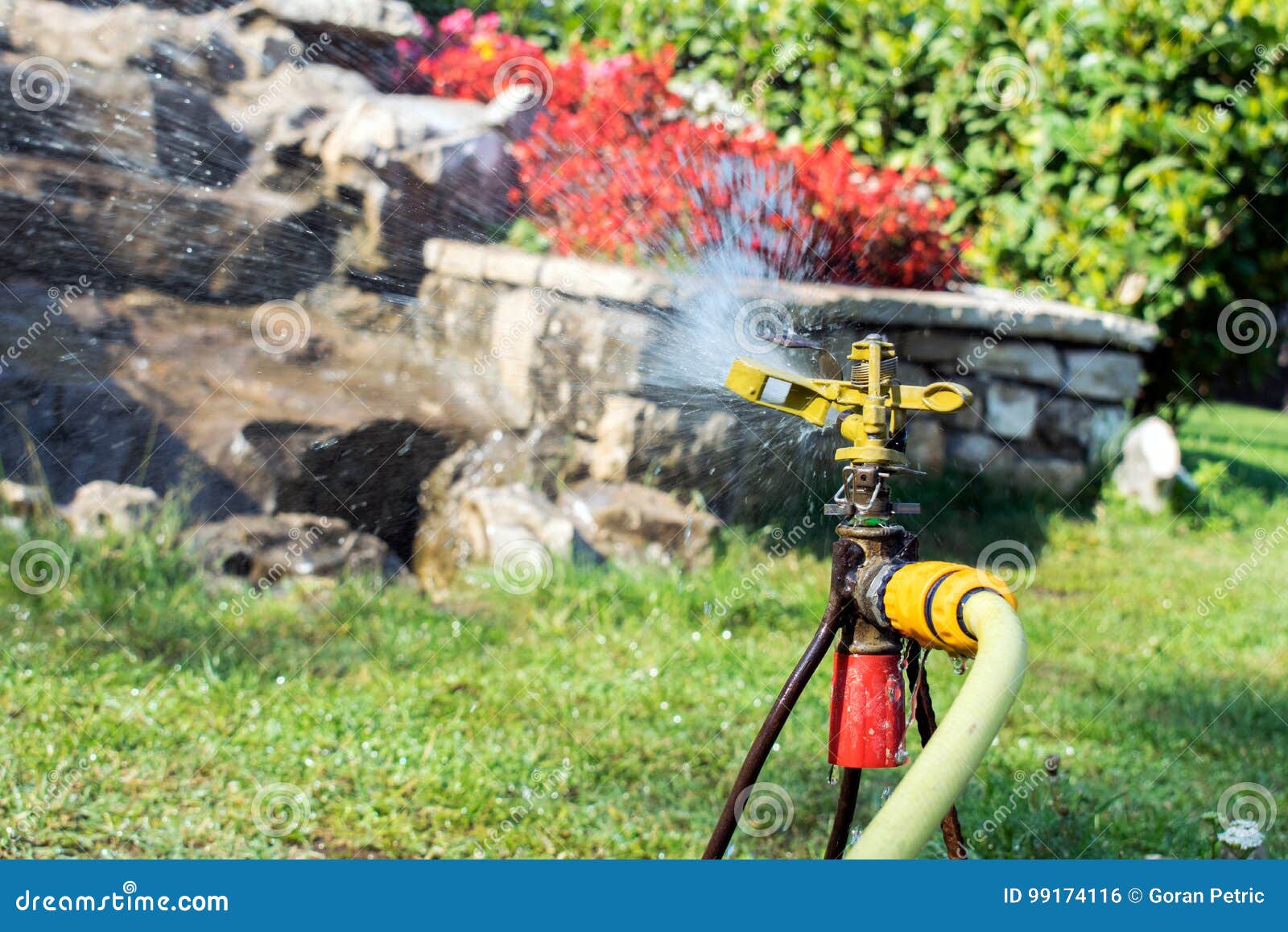 Garden Irrigation System Watering Lawn. Watering Sprayer Stock Photo ...