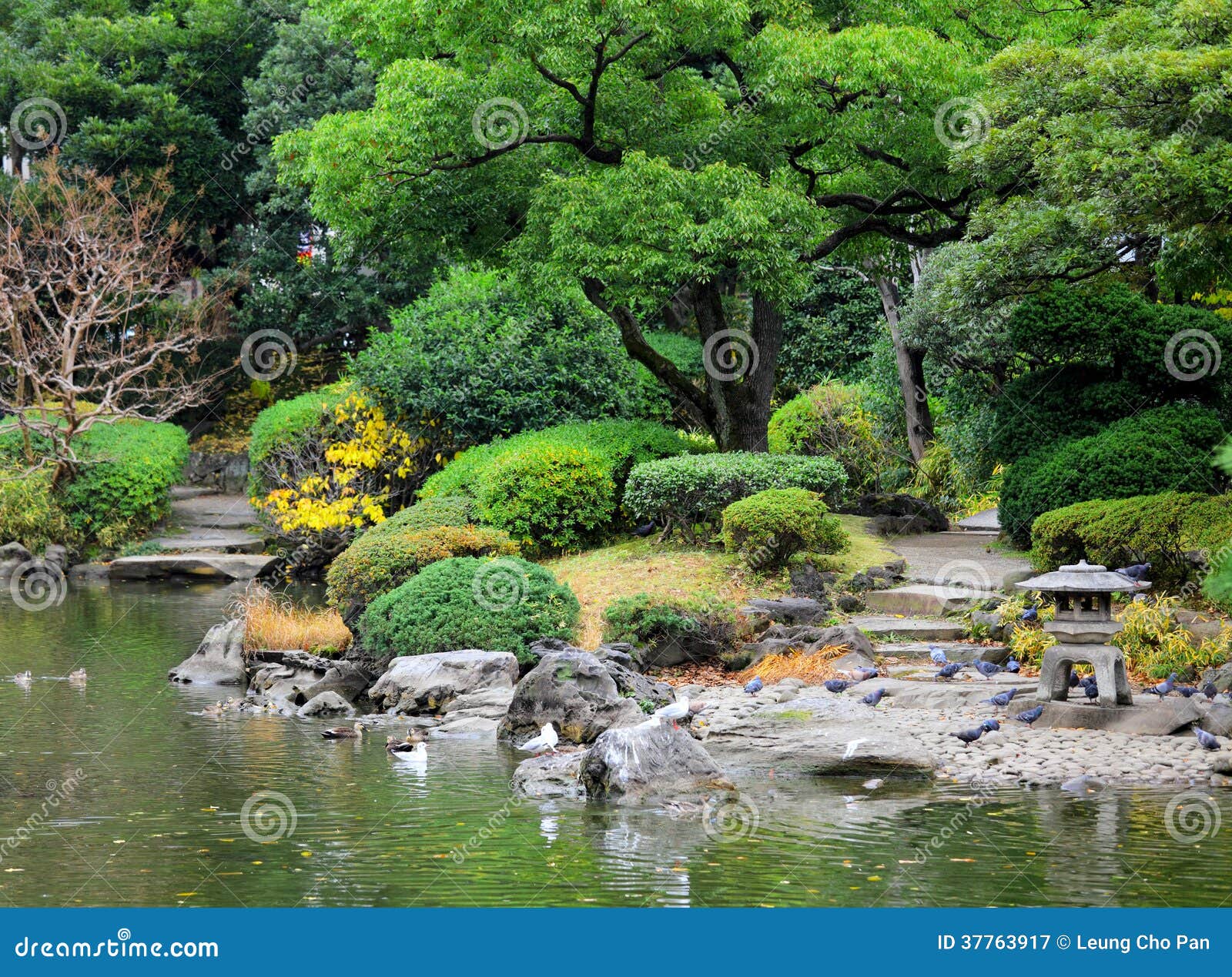 Garden in Japan stock image. Image of bush, tree, yard - 37763917