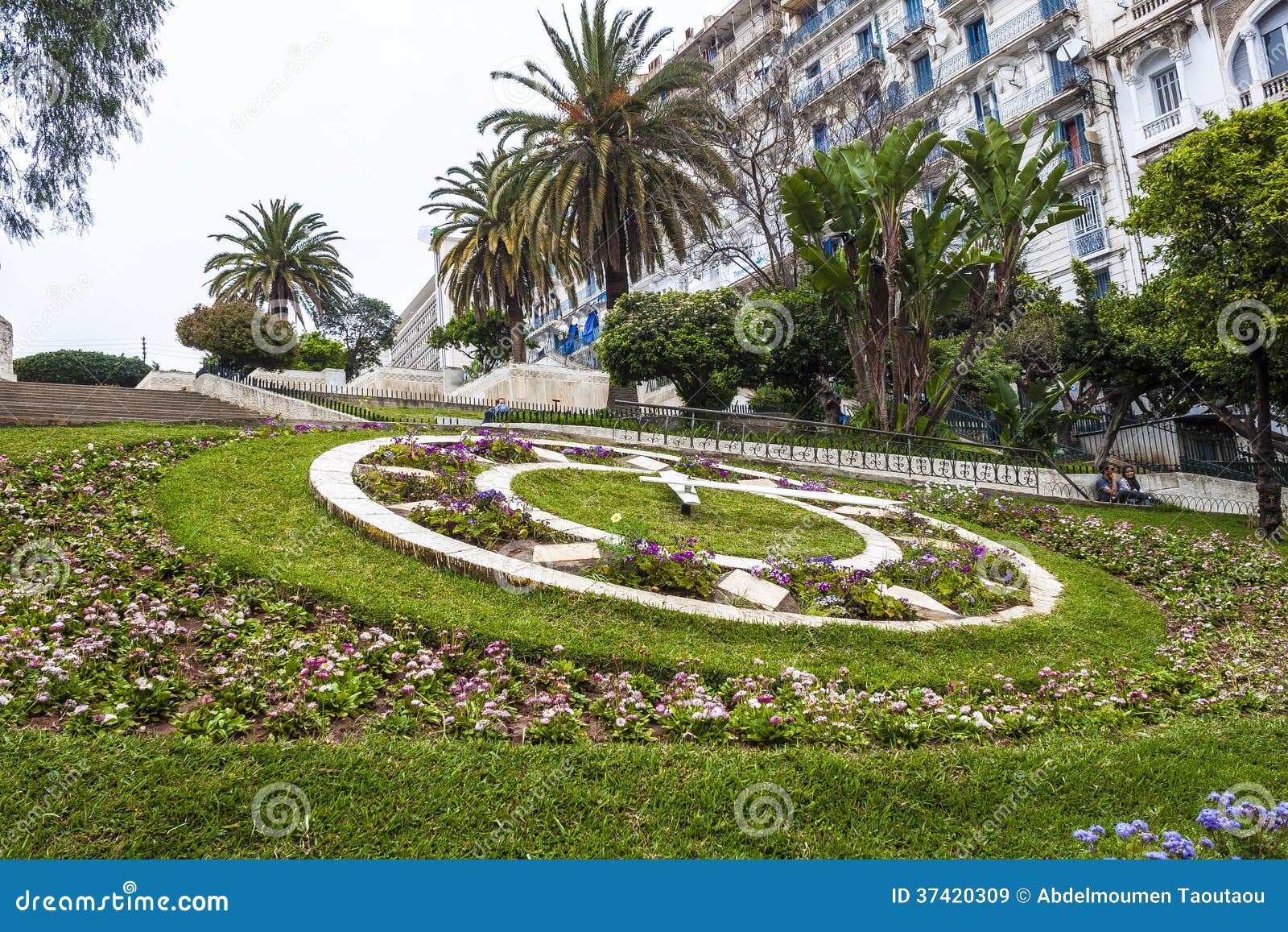 Garden editorial stock image. Image of green, africa - 37420309