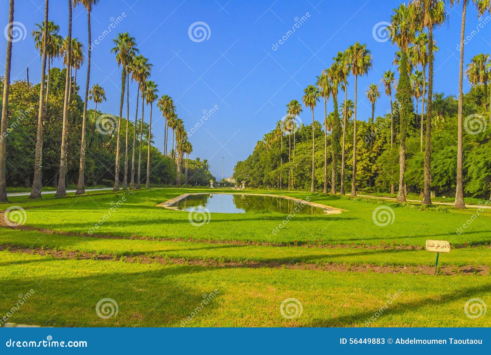 Garden editorial stock photo. Image of park, visit, natural - 56449883