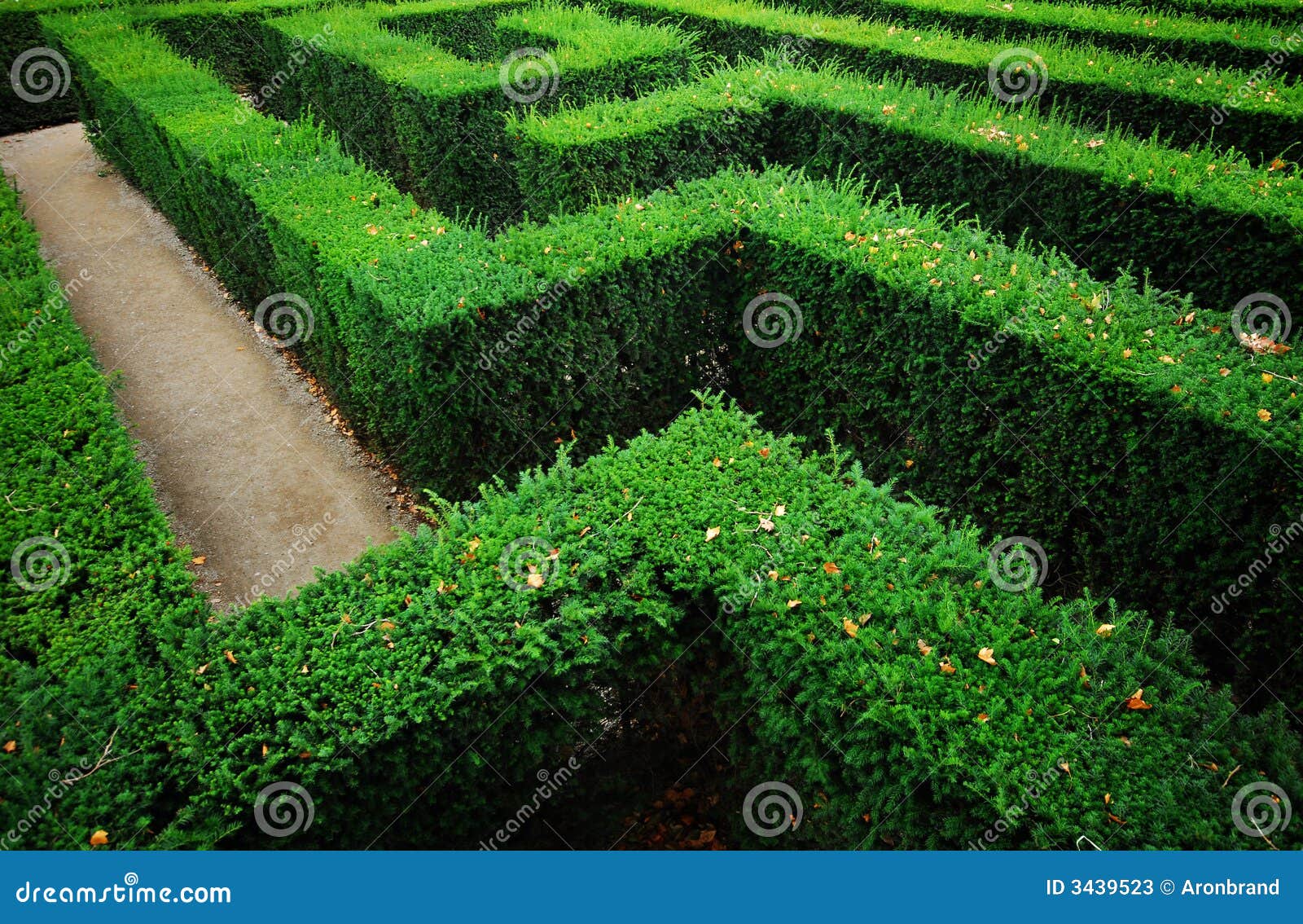 Garden Labyrinth stock image. Image of lost, botanical - 3439523