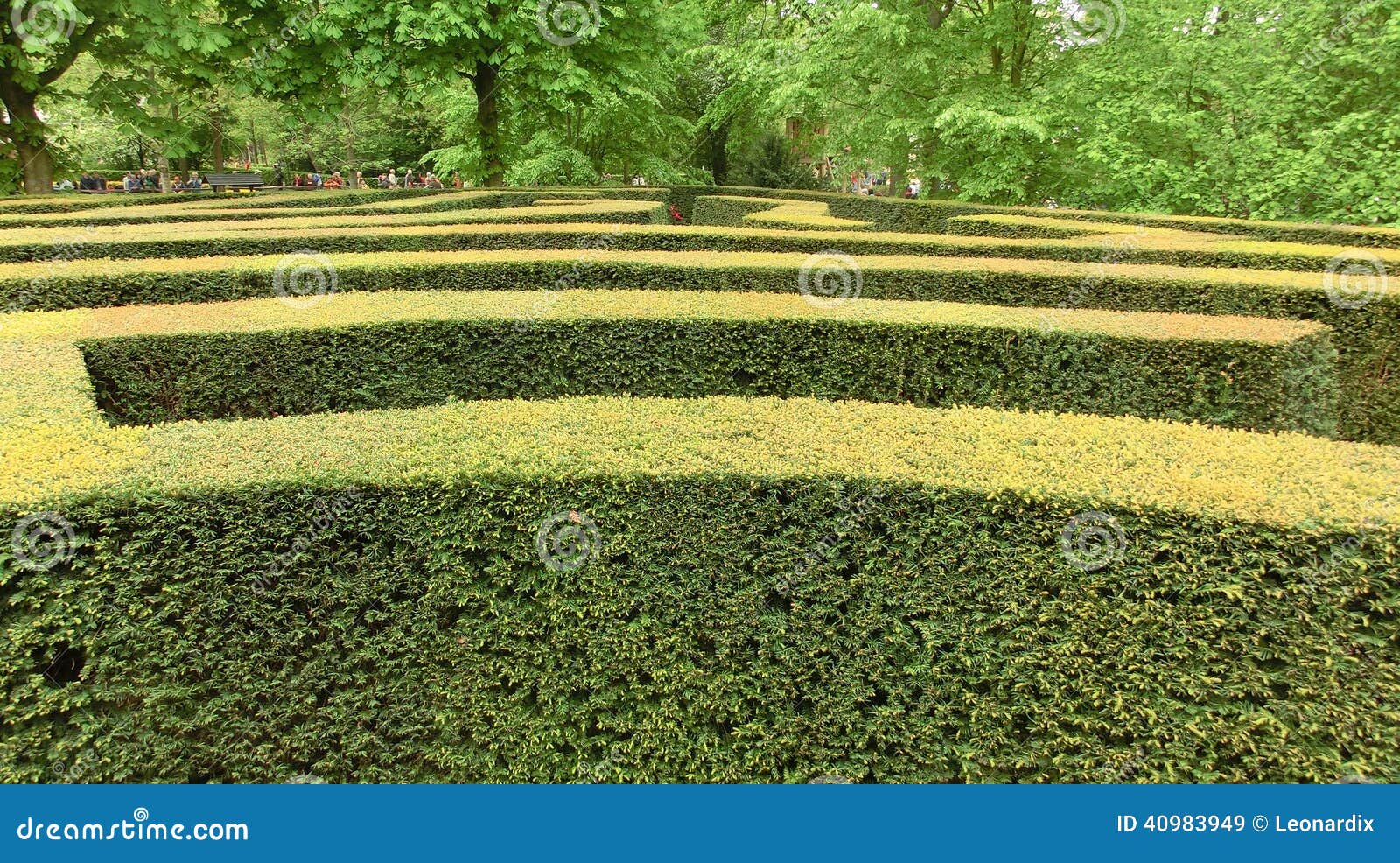 Garden Labyrinth stock image. Image of mystery, green - 40983949