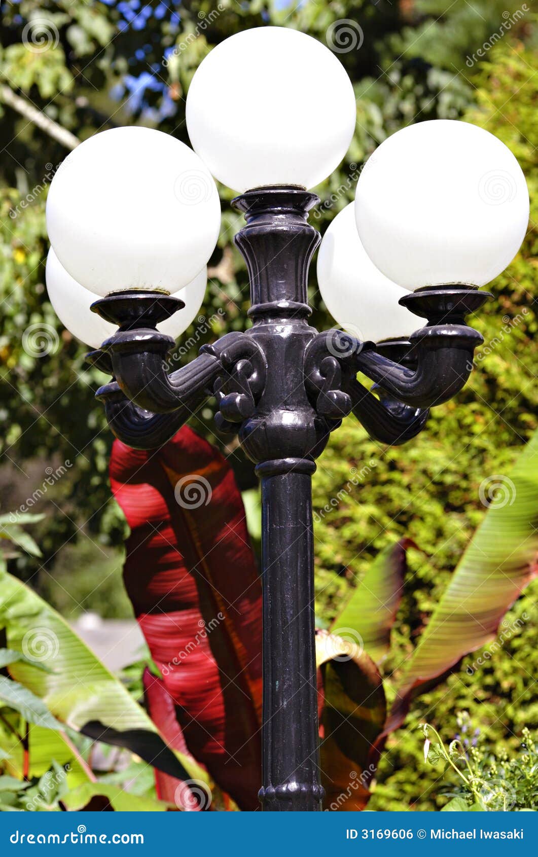 Garden lamp stock photo. Image of decorative, green, lush - 3169606