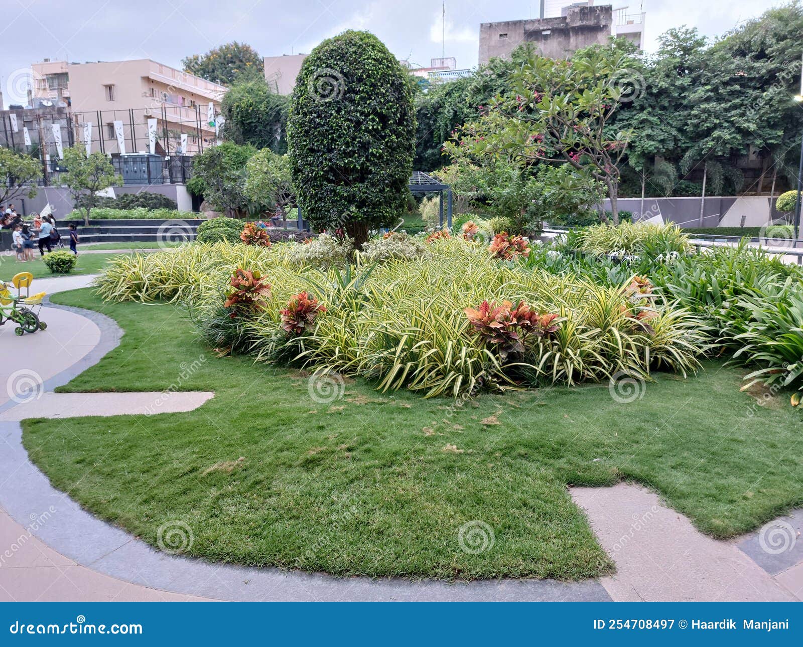 Garden with Landscape View of Trees and Grass Stock Image - Image of ...