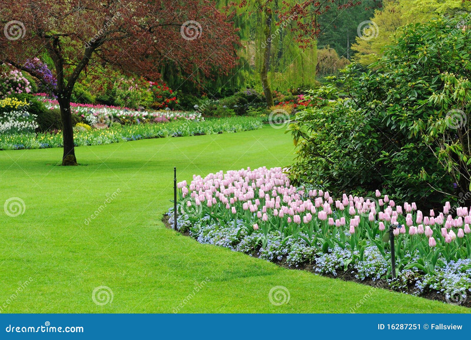 Garden landscaping stock image. Image of island, colors - 16287251
