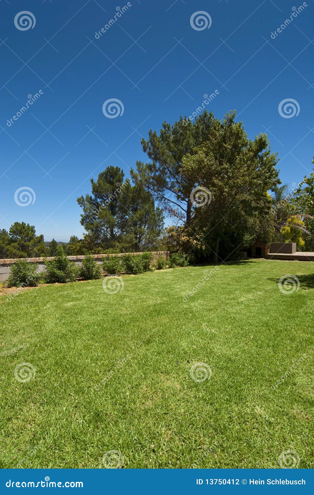 Garden with large lawn stock photo. Image of real, grass - 13750412