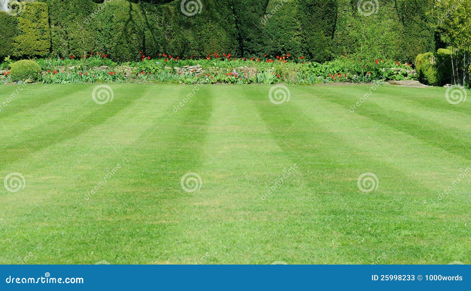 Garden Lawn stock image. Image of facade, gardening, investment - 25998233
