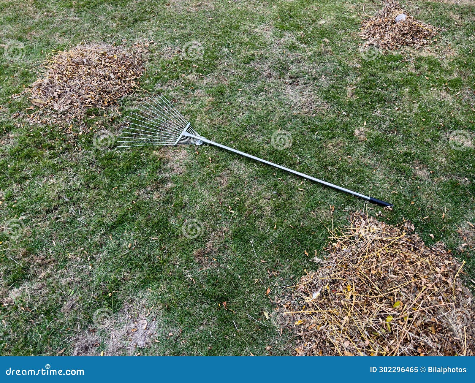 Garden Leaf Rack in the Lawn for Gathering the Dry Leaves Stock Image ...