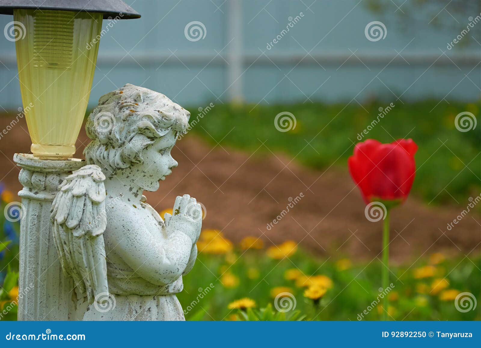 Garden Lights in the Form Statue of an Angel and Red Tulip Stock Photo ...