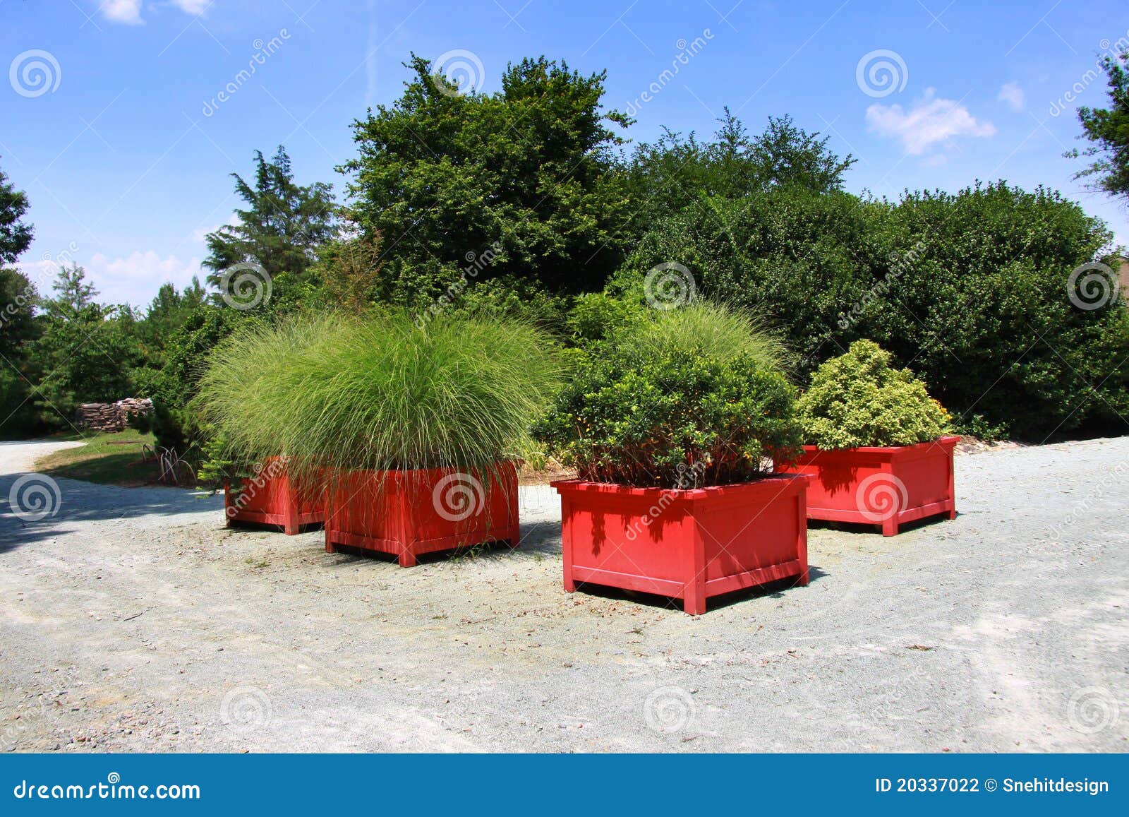Garden with Lush Green Plants Stock Photo - Image of beautiful, botany ...
