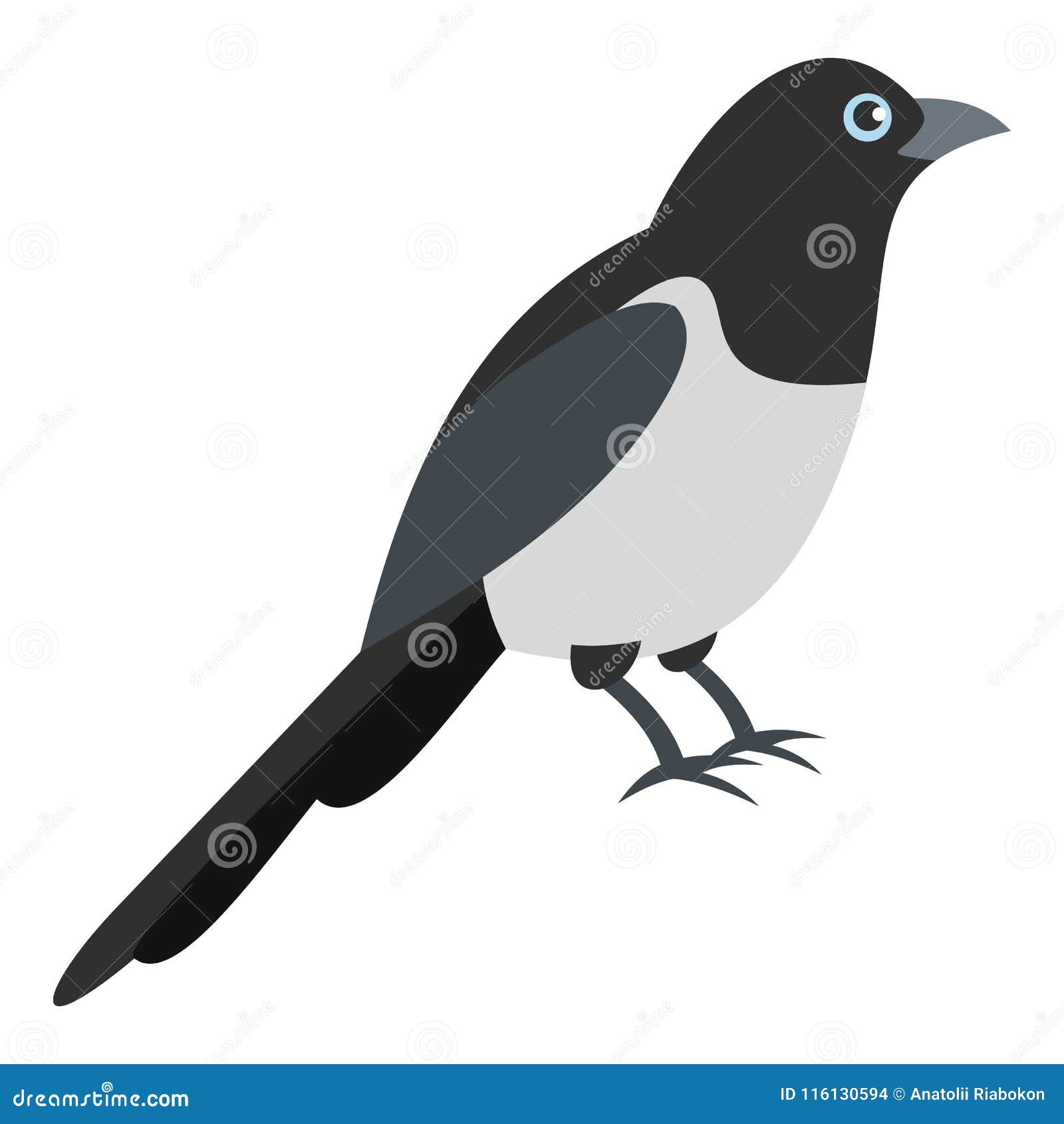 Garden Magpie Icon, Flat Style Stock Vector - Illustration of ...