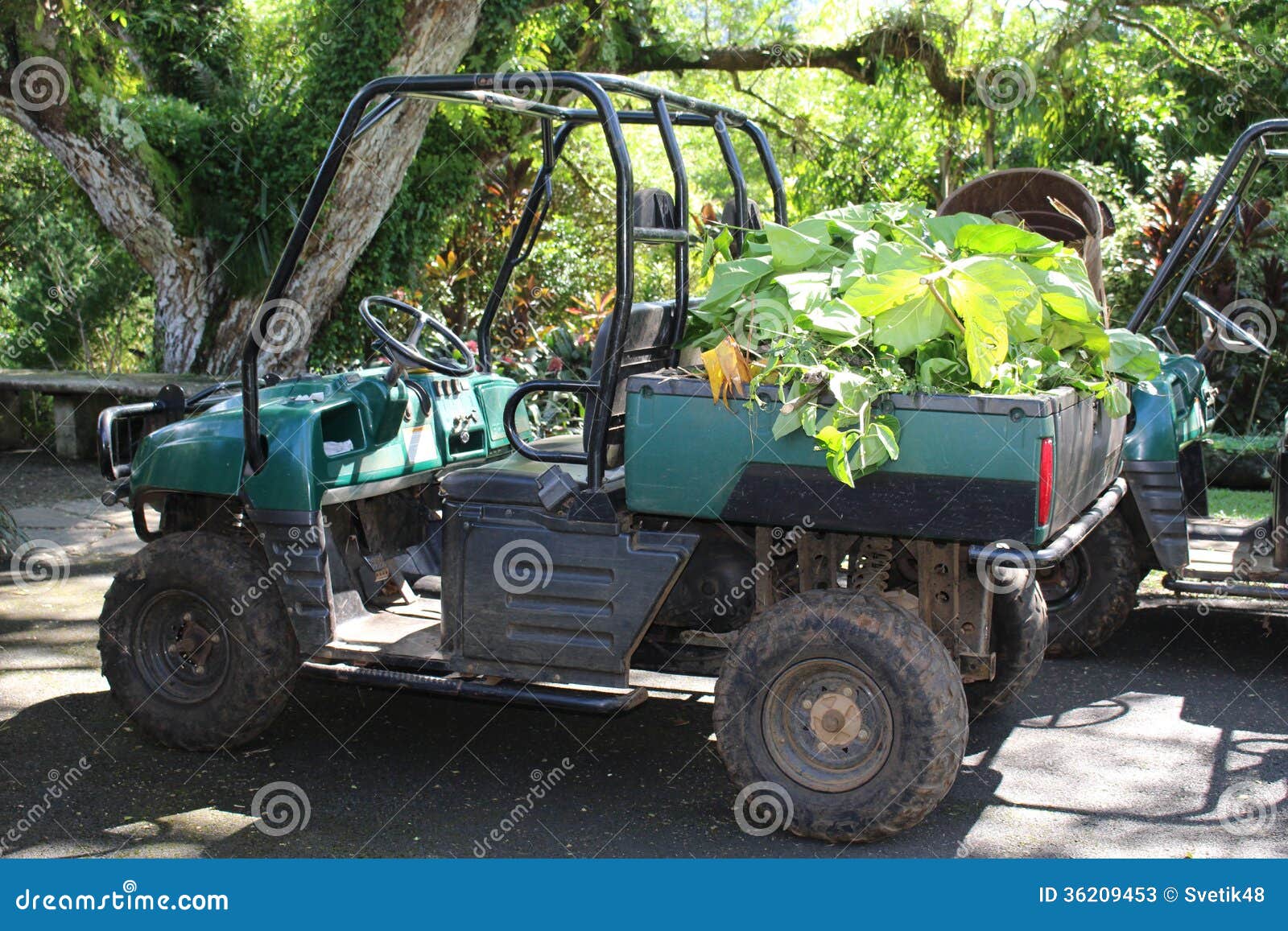 Garden maintenance car stock image. Image of leaves, park - 36209453