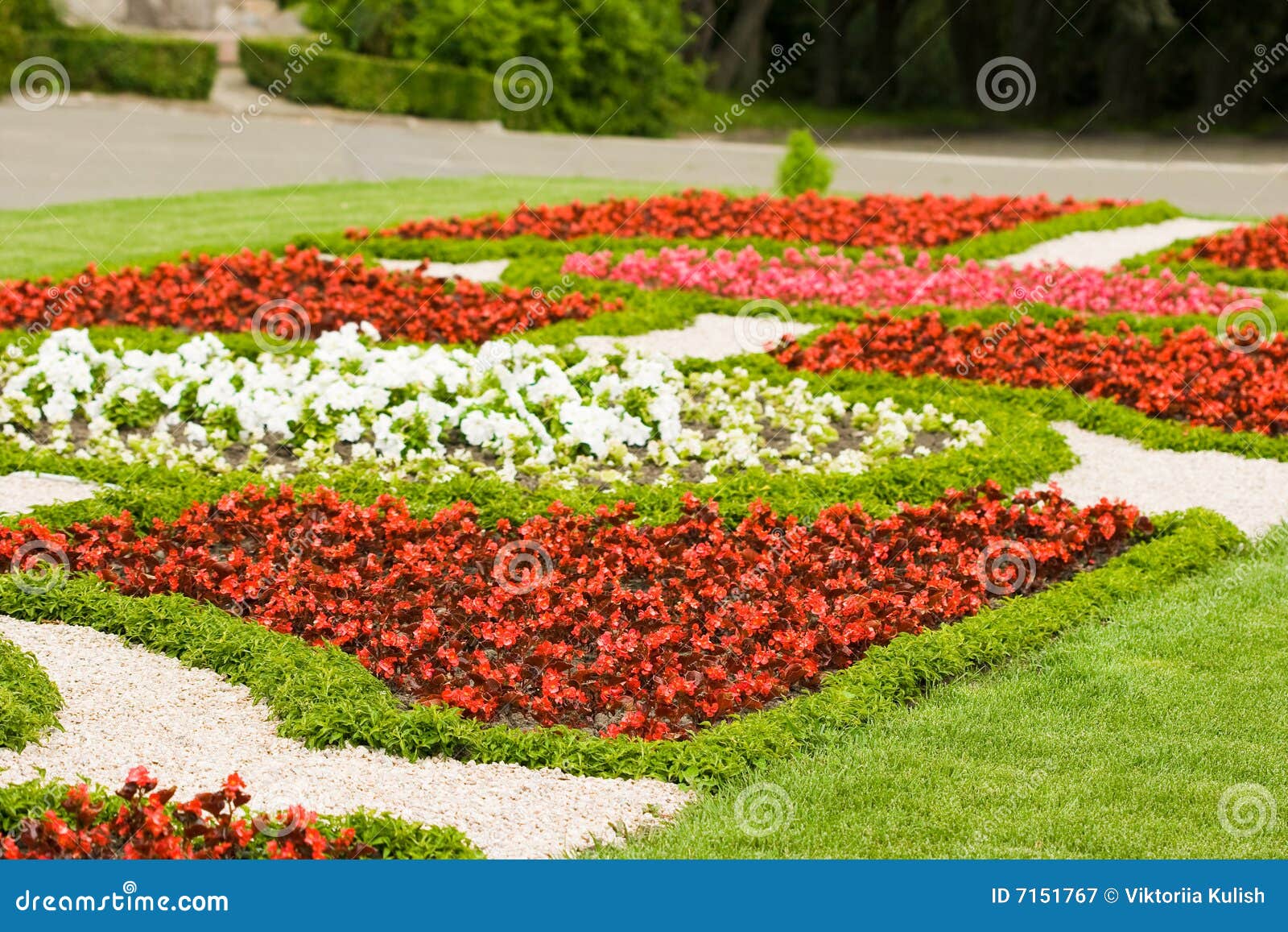 Garden with many flowers stock image. Image of color, field - 7151767