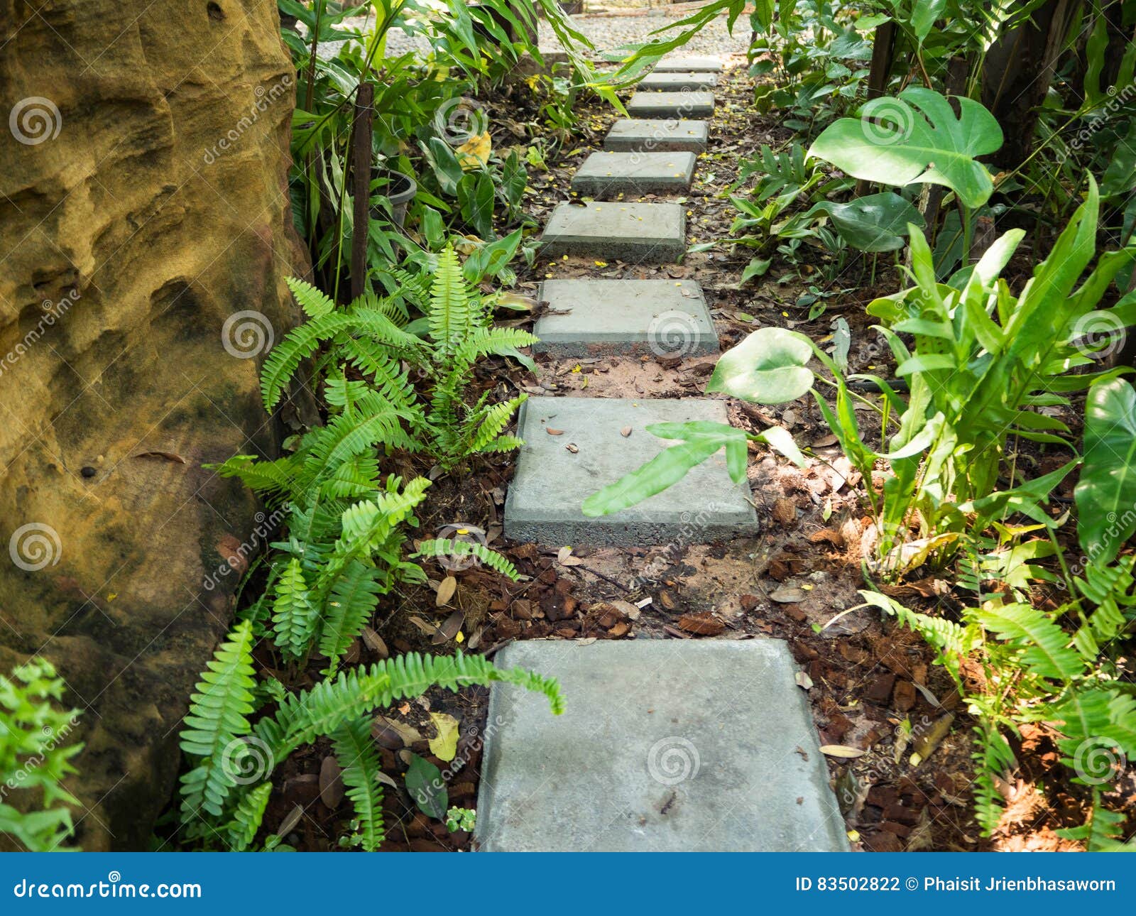 Garden stock photo. Image of rock, pathway, plant, gardening - 83502822