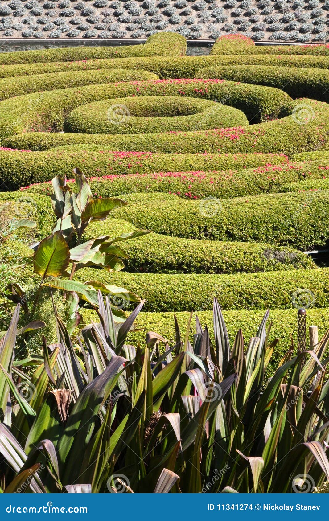 Garden Maze stock photo. Image of attraction, pond, green - 11341274