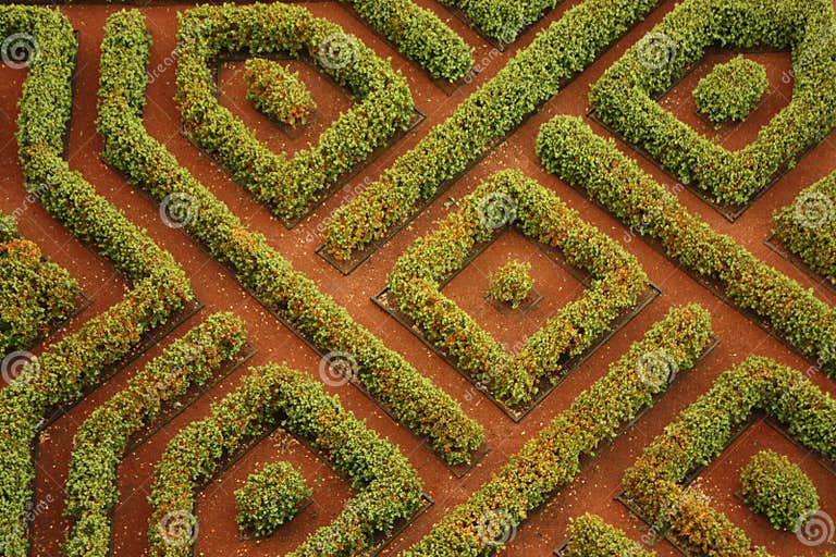 Garden maze stock image. Image of garden, lost, shape - 16858883