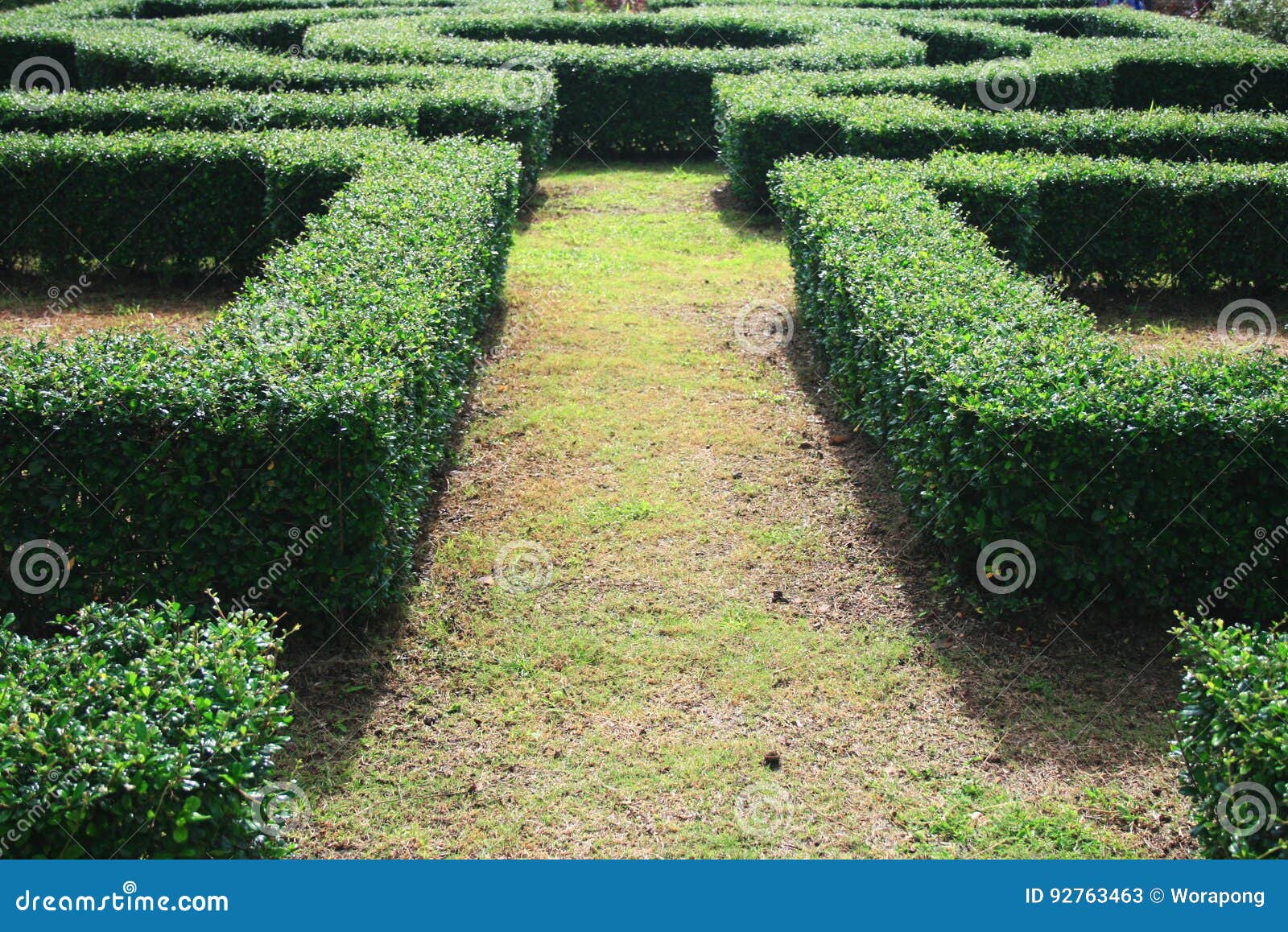 A garden maze stock image. Image of botanical, europe - 92763463