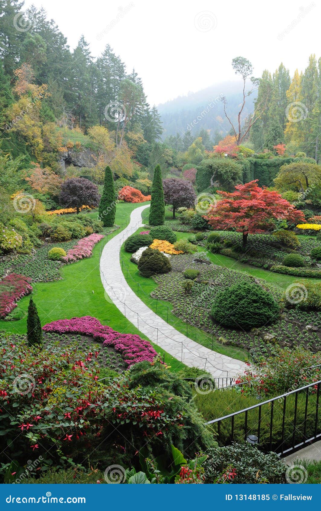 Garden in mist stock image. Image of beautiful, autumnal - 13148185