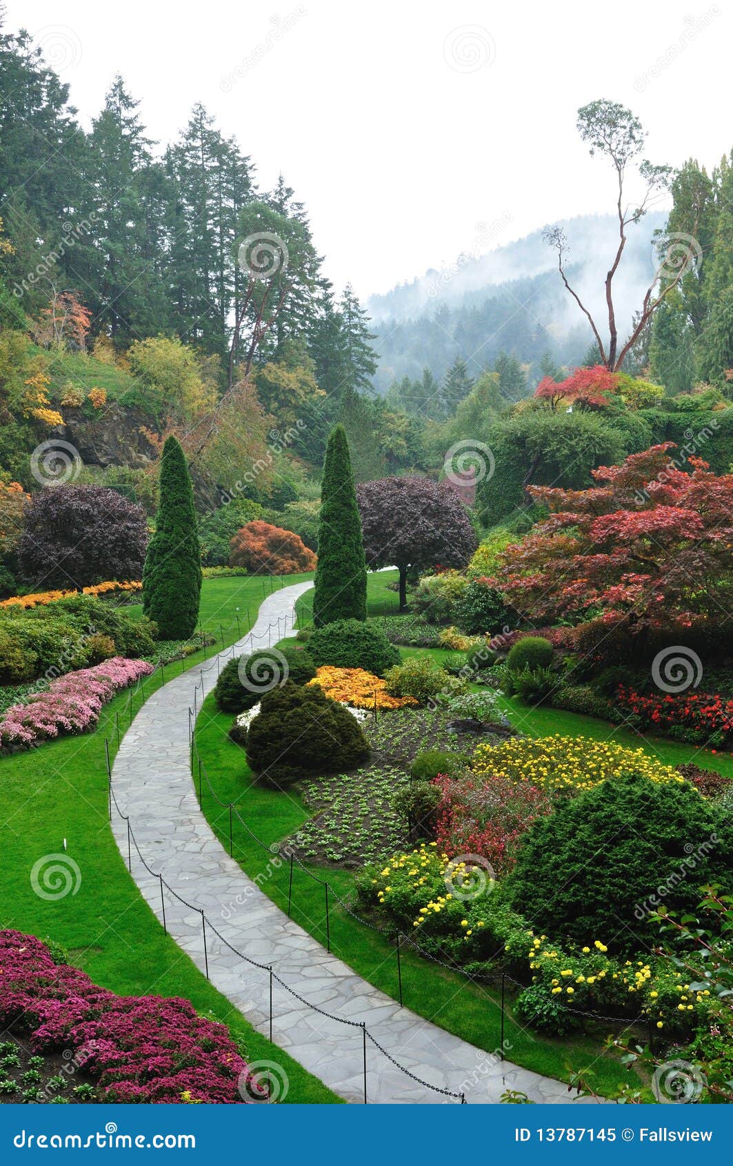 Garden in mist stock image. Image of garden, green, fresh - 13787145