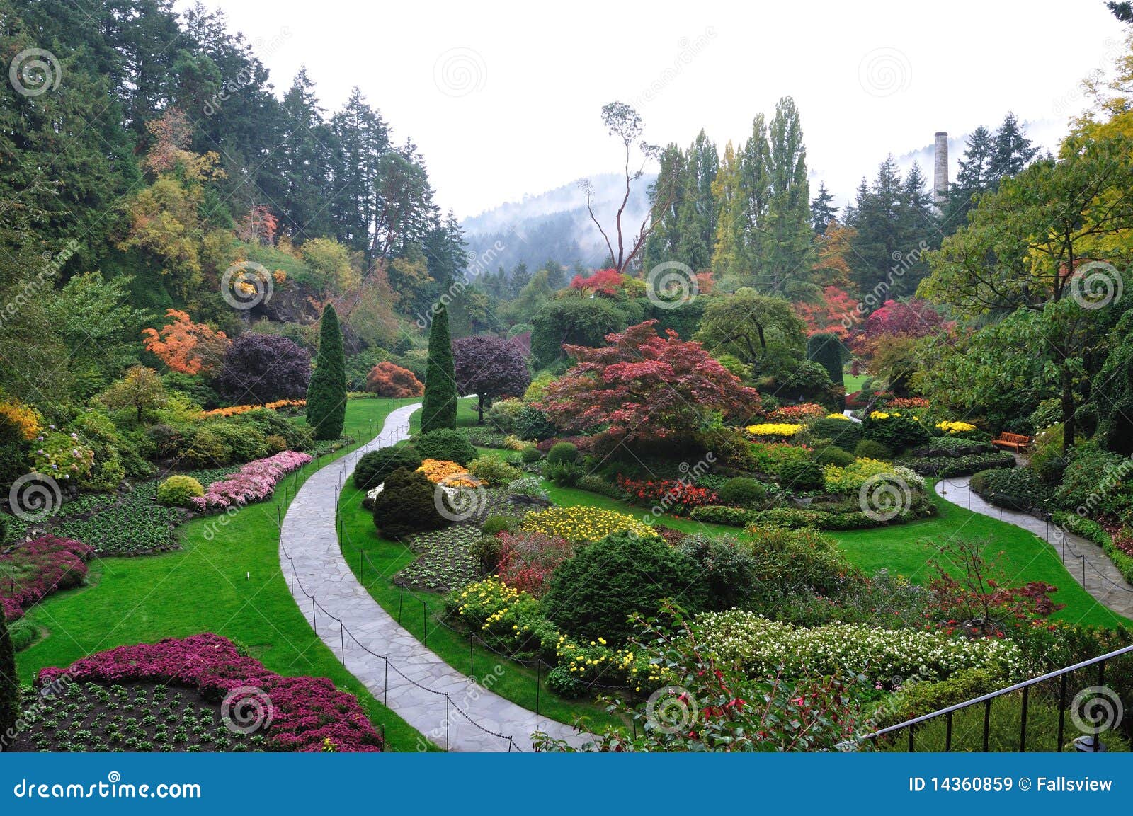 Garden in mist stock image. Image of columbia, beauty - 14360859