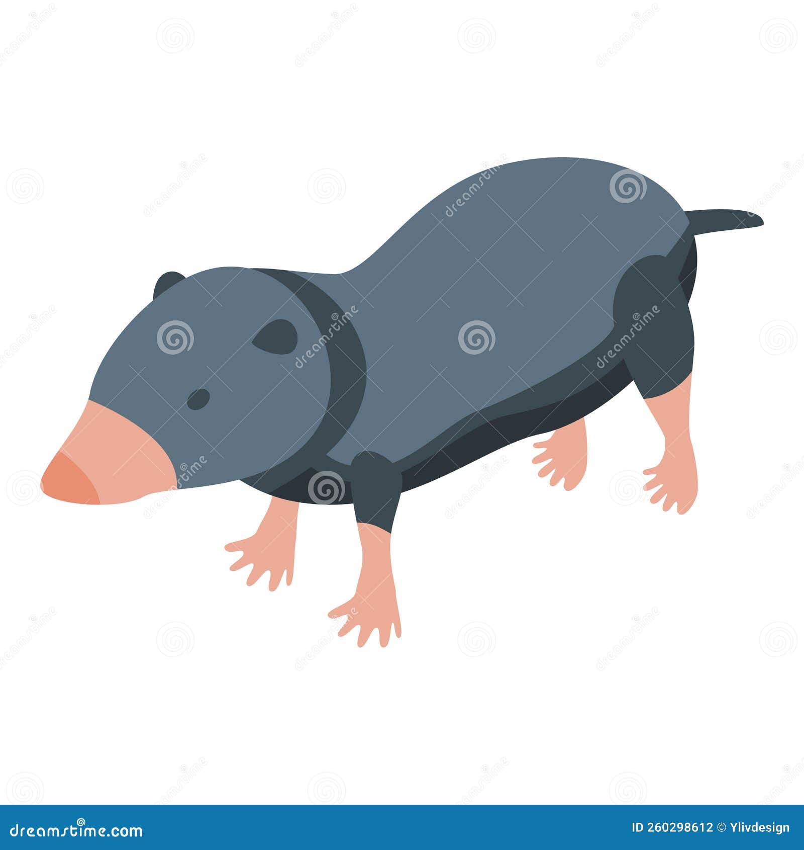 Garden Mole Icon Isometric Vector. Cute Animal Stock Vector ...